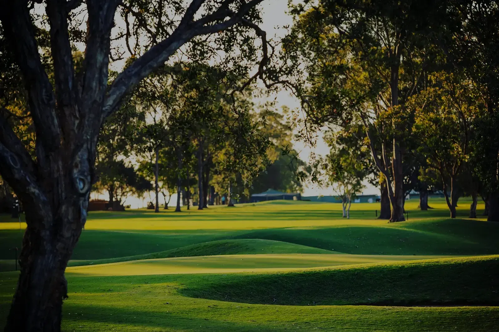 Ballina Golf Club Golf Course in Ballina NSW